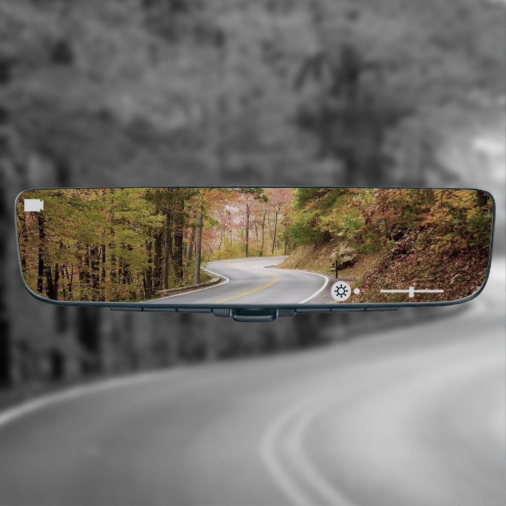 HomeLink® システム