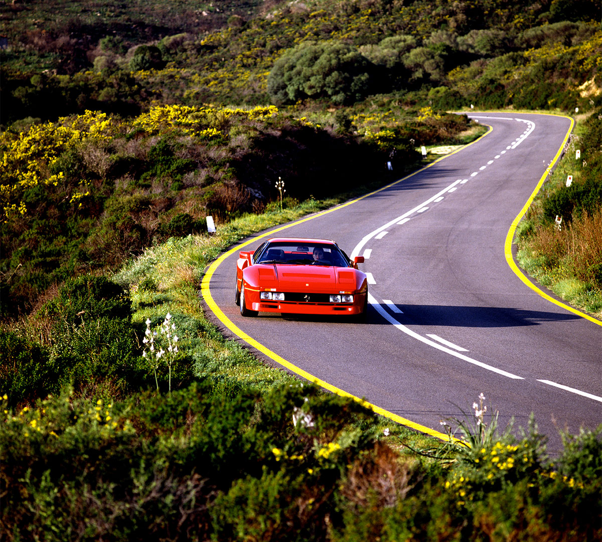 Ferrari GTO (1984) - Ferrari.com